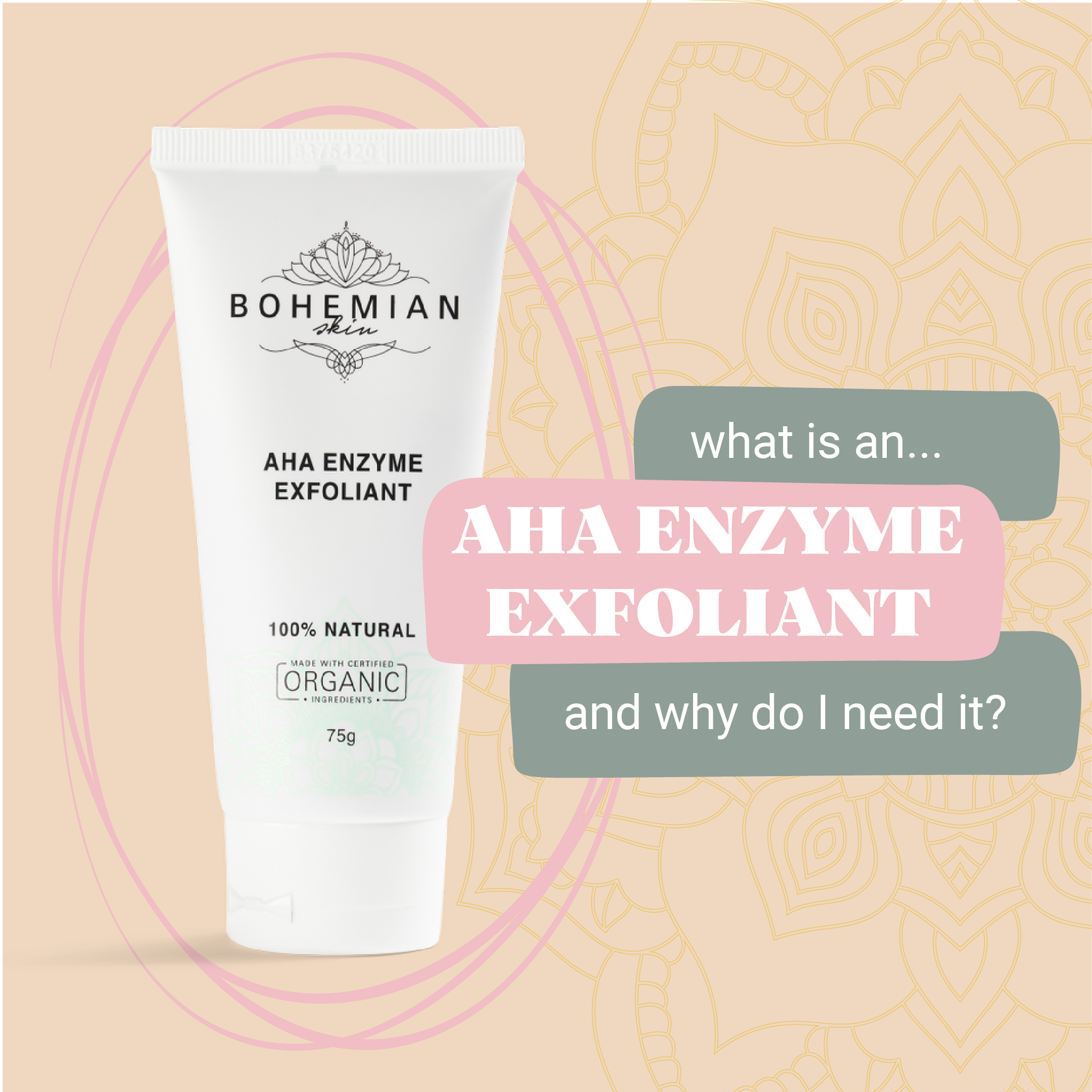 What is an AHA Enzyme Exfoliant & why do I need it? Enzyme Exfoliator ...